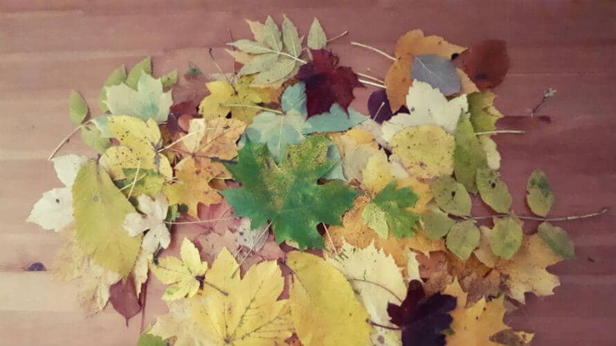 Kreativne ideje za djecu: 3 aktivnosti s lišćem - MaminSvijet.hr