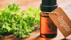 Ulje divljeg origana - kako piti, gdje kupiti i nuspojave - MaminSvijet.hr